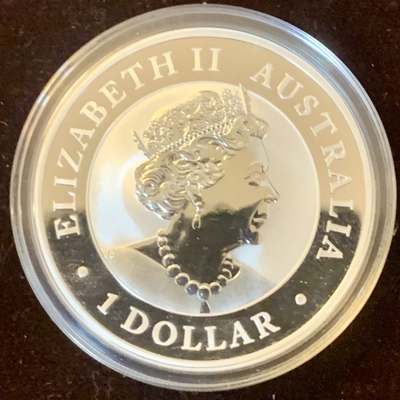 2020 1oz Silver Emu Coin .9999 from the Perth Mint. - myBullion